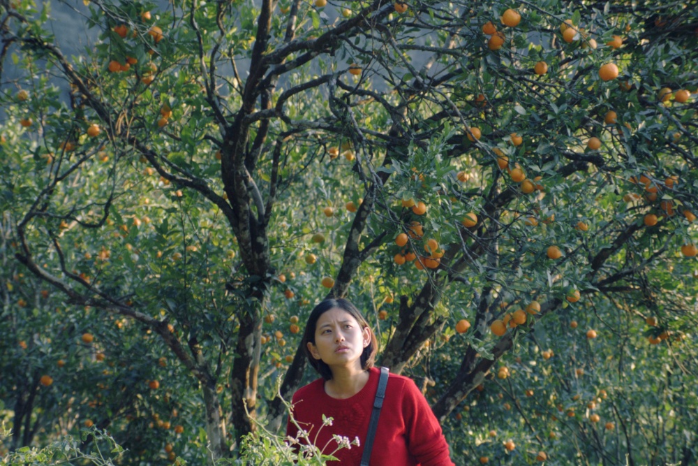 Payal Kapadia, Zoya Akhtar back 'Shape of Momo' India release