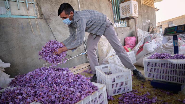 Iran war leads to spike in saffron price