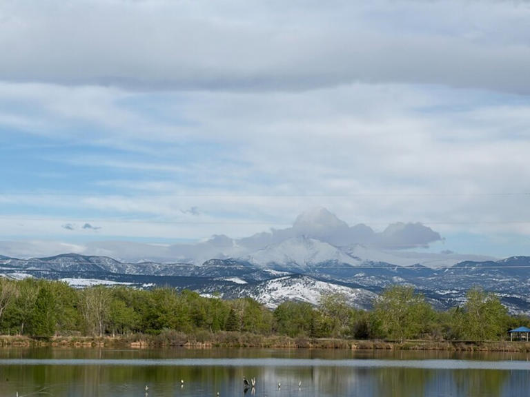 🌱 Patch AM: How one Boulder woman’s blackout ordeal could change future ...