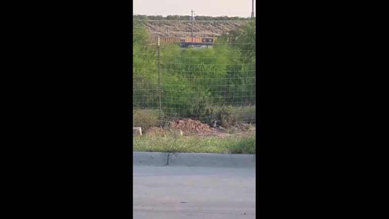 Eyewitness video shows Texas train yard where six were found dead in boxcar