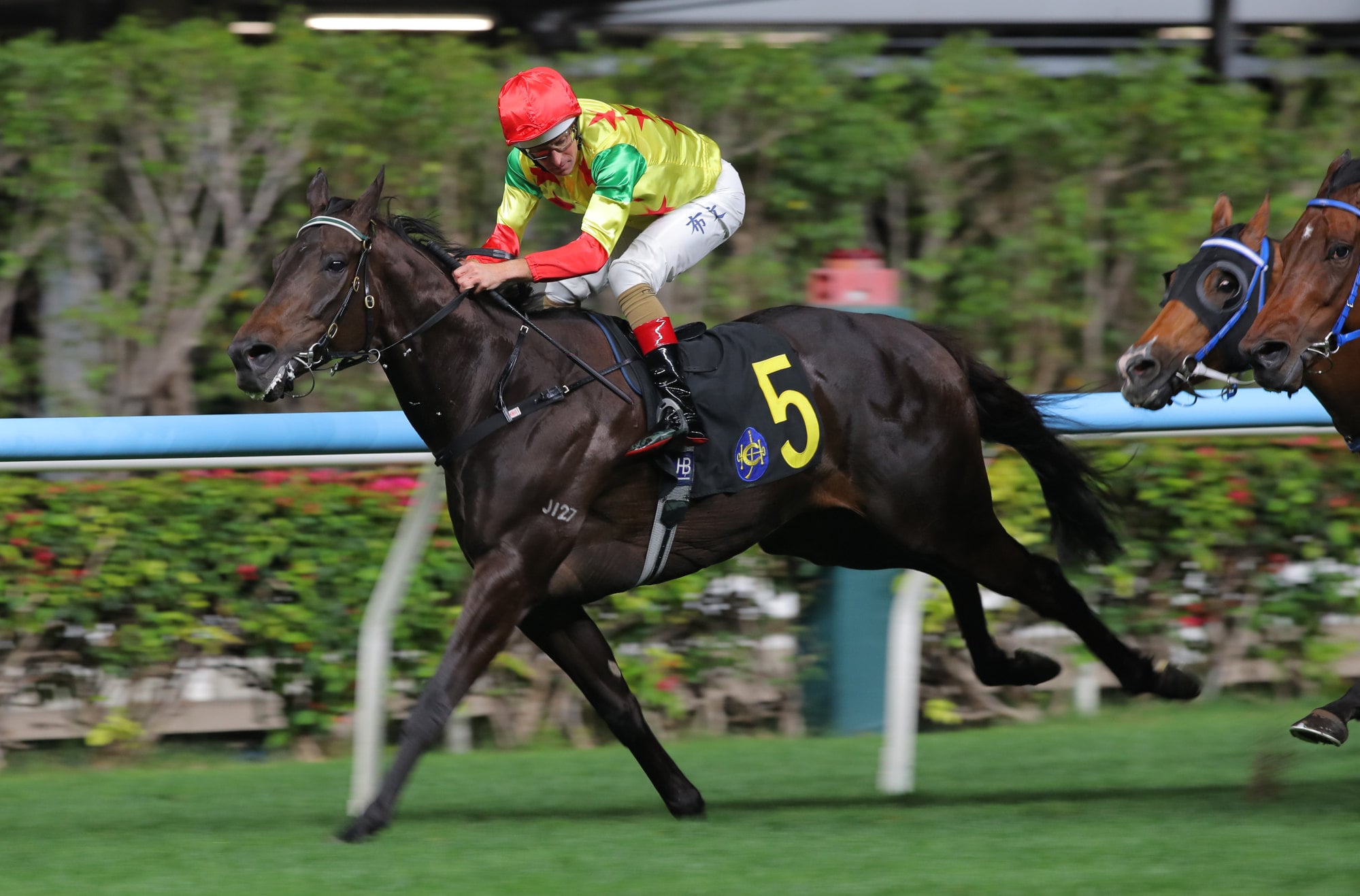 David Hayes takes aim at Happy Valley with four last-start winners as ...