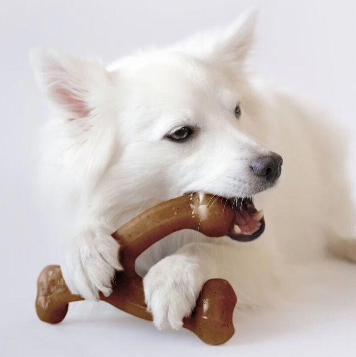 Chewy's pet month deals make shopping a breeze