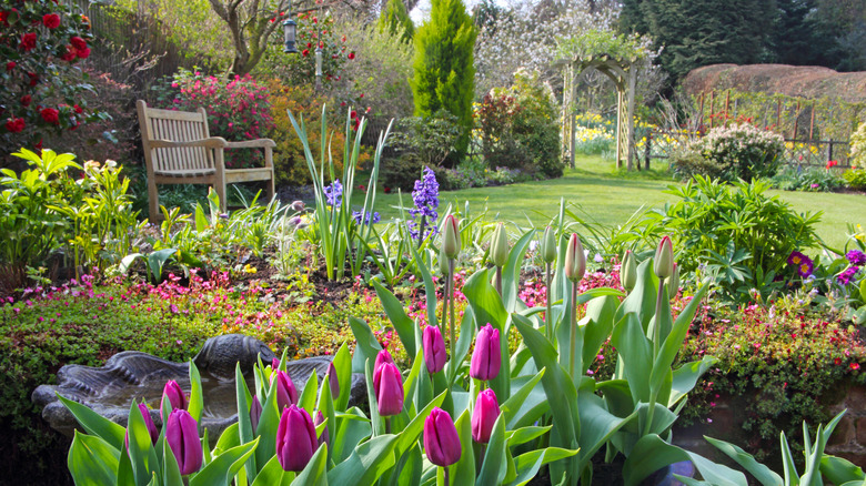 11 best ground covers for flower beds