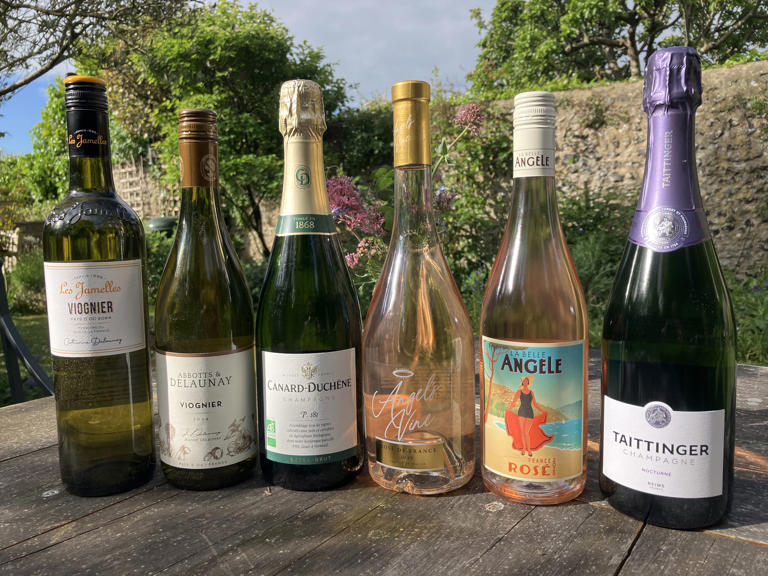 Richard Esling on the grapevine: Wines to complement the summer sunlight