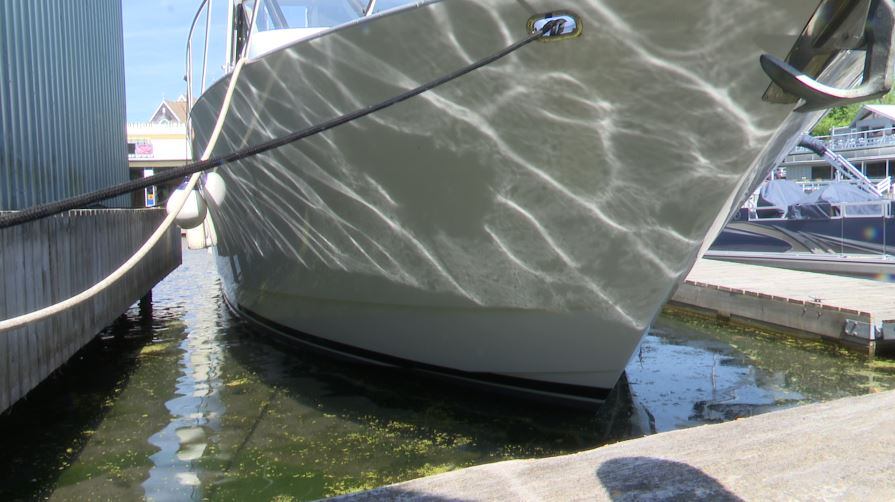 Crescent Yacht Club Junior Division