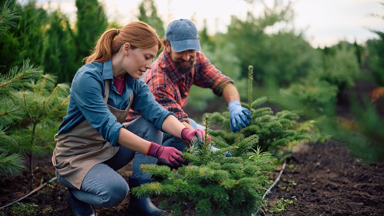 Alan Titchmarsh reveals the simple mistakes many new gardeners make