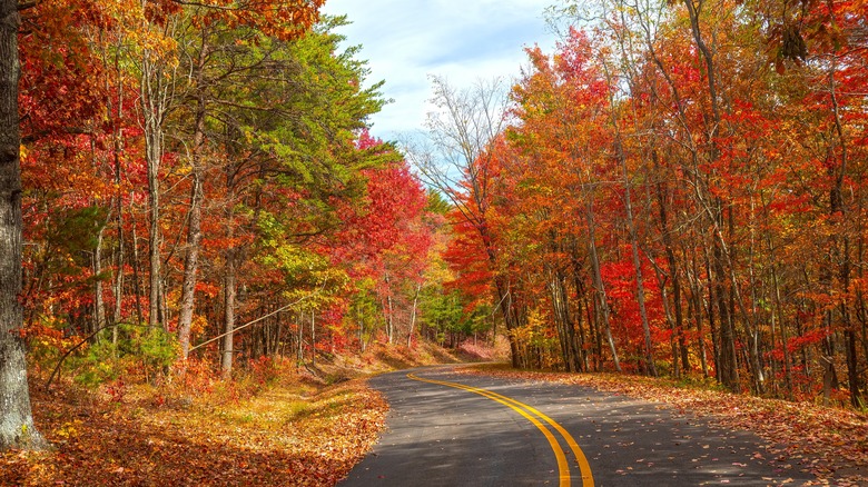 Hidden in the Smokies is a tiny Tennessee town with orchards, no crowds ...
