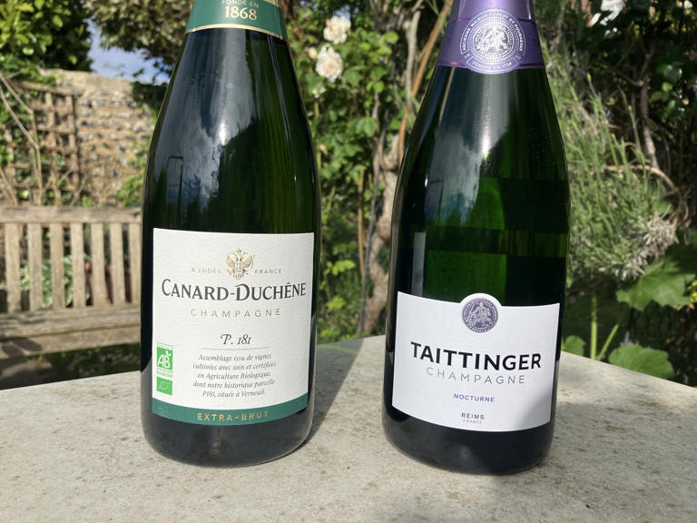 Richard Esling on the grapevine: Wines to complement the summer sunlight