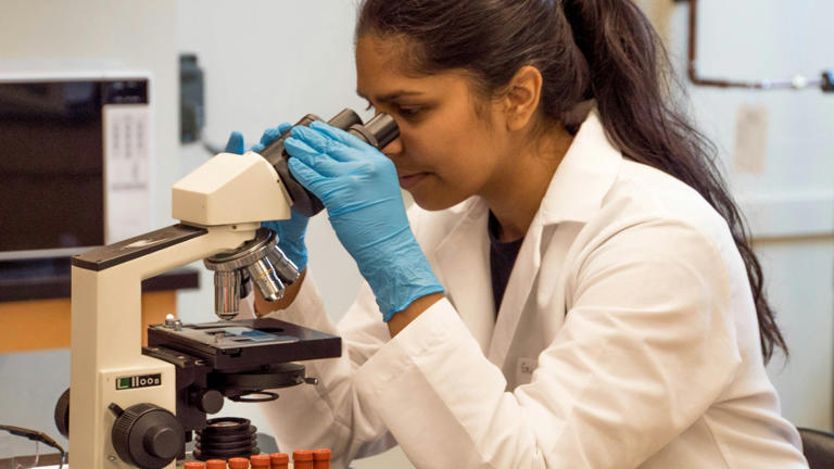 A pond organism found at Oxford University breaks biology’s most ...