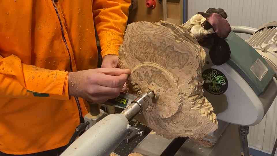 This mallee burl looks nothing like wood
