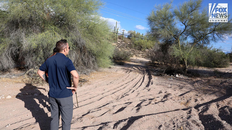 Nancy Guthrie case: Former cop shows how missing mom could vanish just ...
