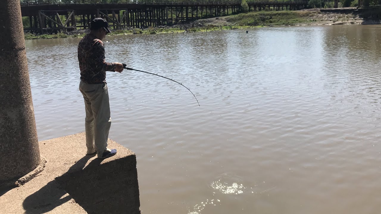 Esta boga nos dobló la caña en dos días de pesca increíble