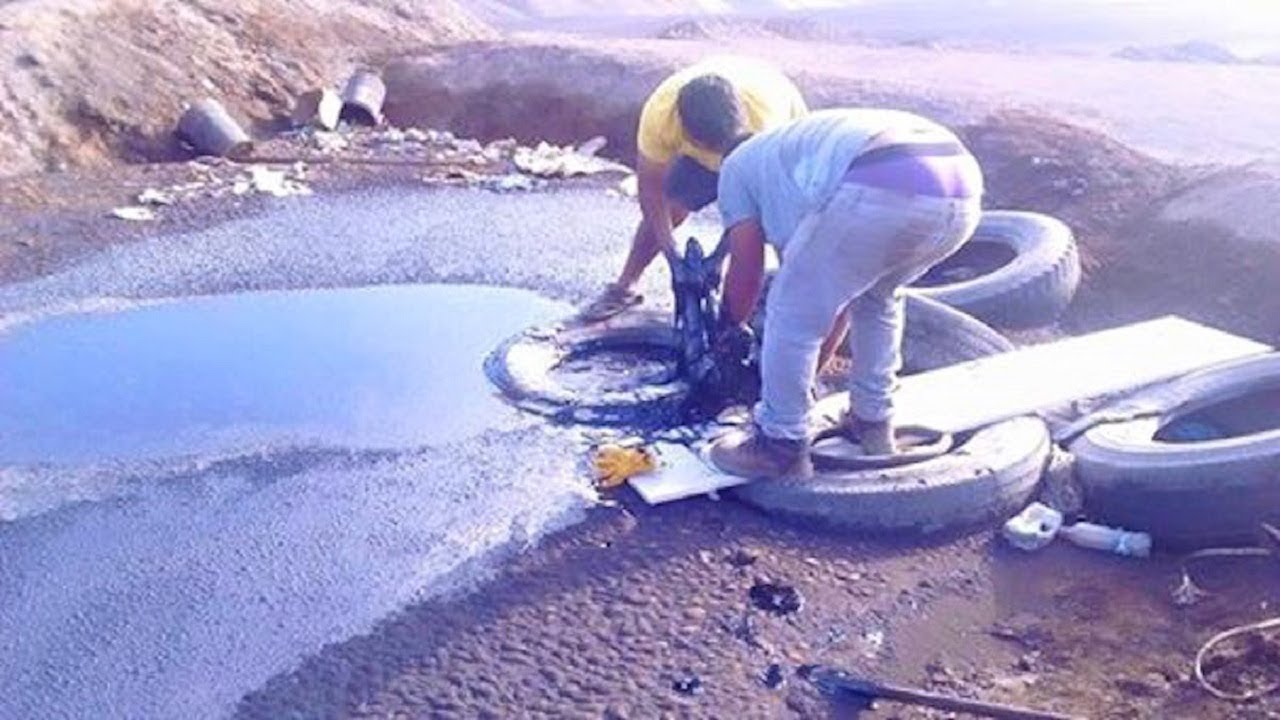 This helpless dog drowning in a tar pit was rescued just in the nick of ...