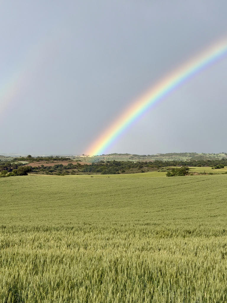 Un arco iris para recordar