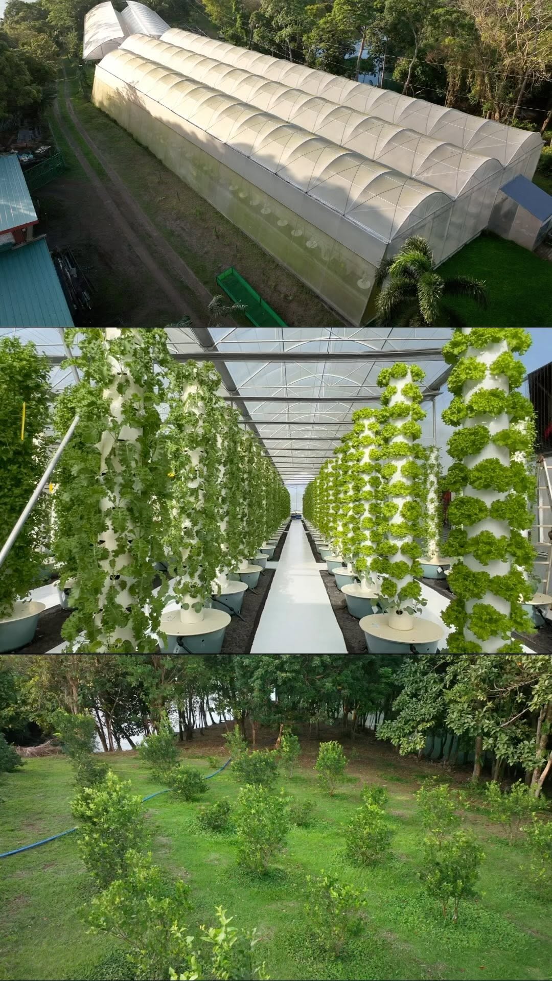 Living the farm life and growing every day on our modern farm