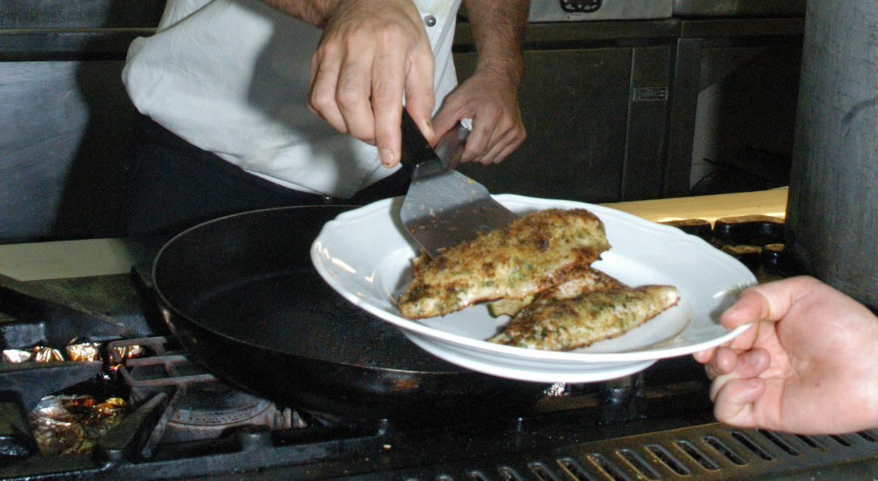 Pesce, tra proteine e nutrienti ecco qual è il più salutare? Dal ...