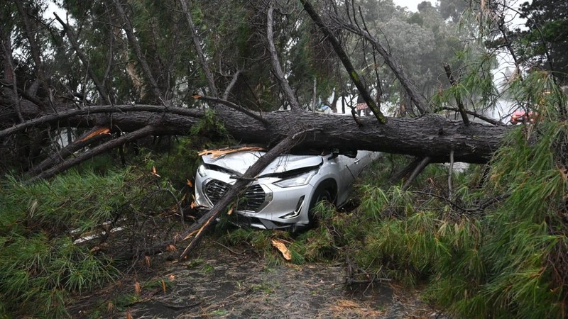 Western Cape businesses warned of hidden flood damage after severe storms