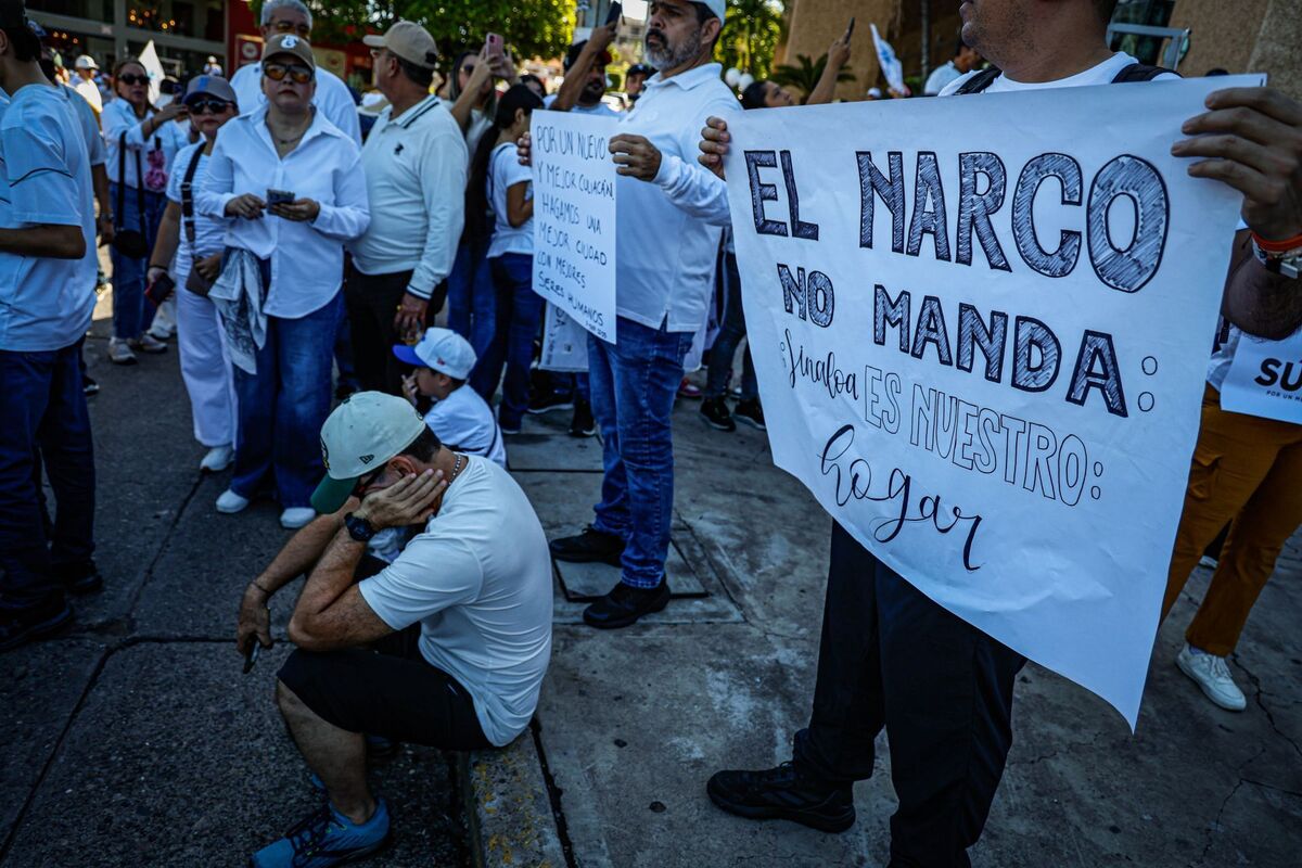 El grito desesperado de Sinaloa: Los testimonios de quienes denunciaron ...