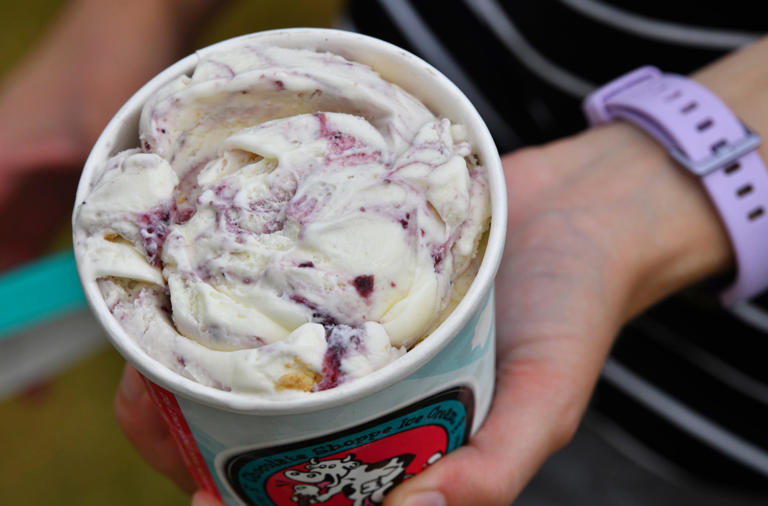 Summer's coming, check out these 6 ice cream shops around St. Cloud