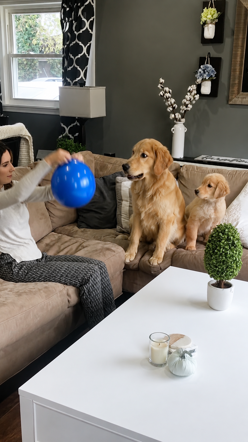 Tucker and puppy vs the mysterious balloon