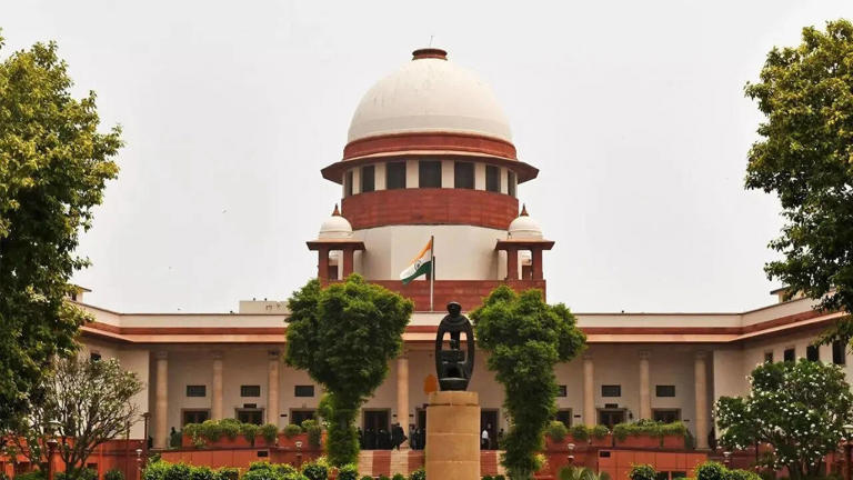 Why only wives can invoke certain divorce grounds under Hindu Marriage ...