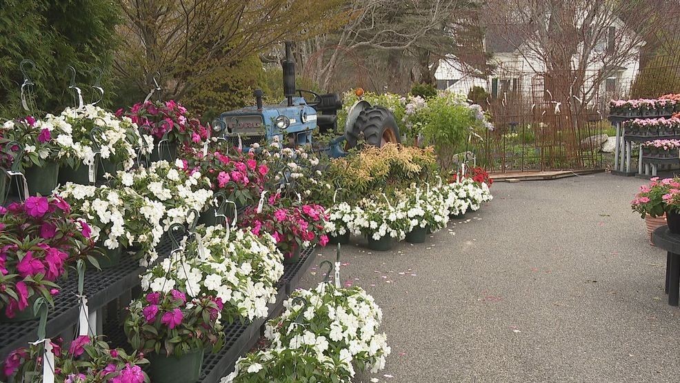 Mother's Day brings boom in flower sales across Maine