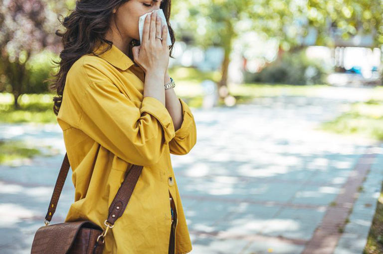 Misery for Munster hay-fever sufferers with Met Éireann hot spell 'very ...