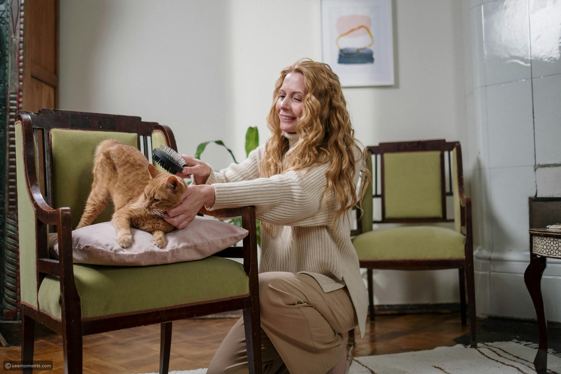 Cats stick butts out for this 'friendly' reason when you pet them