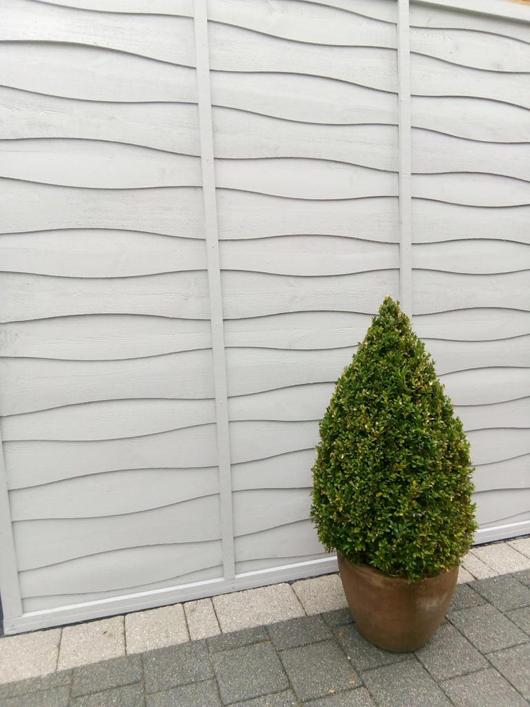 The £37 paint hack that makes small gardens feel instantly bigger