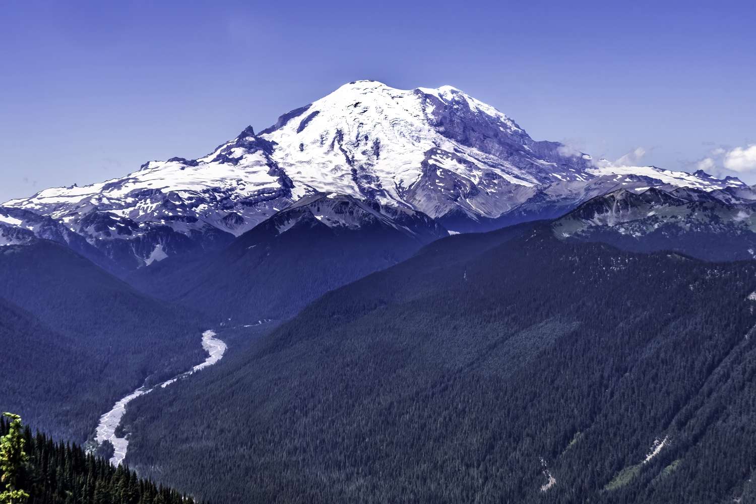 Woman called 911 after allegedly stabbing her husband during camping ...