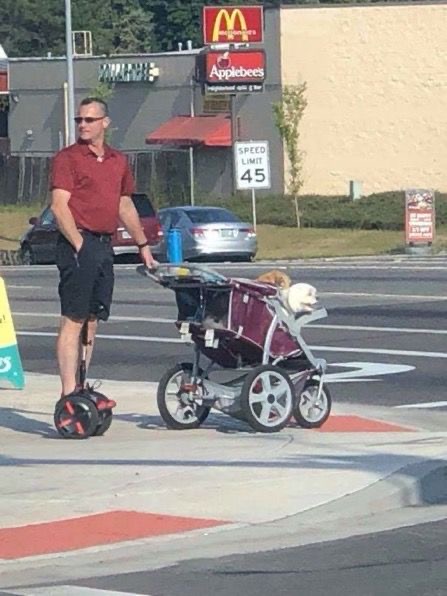 Photos where common sense can't get anyone's attention