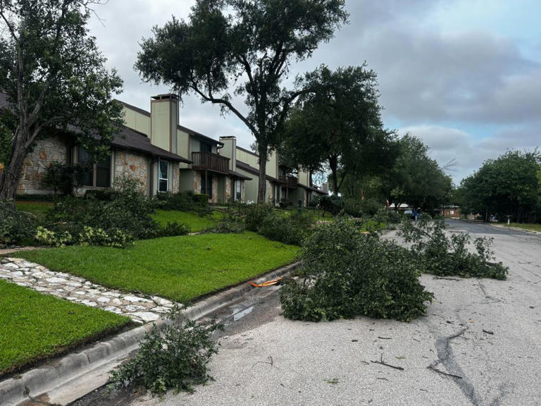 Dawn reveals felled trees, other damage from storms