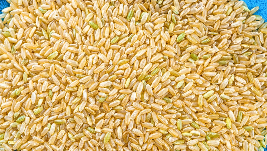 Master the art of perfect rice cooking
