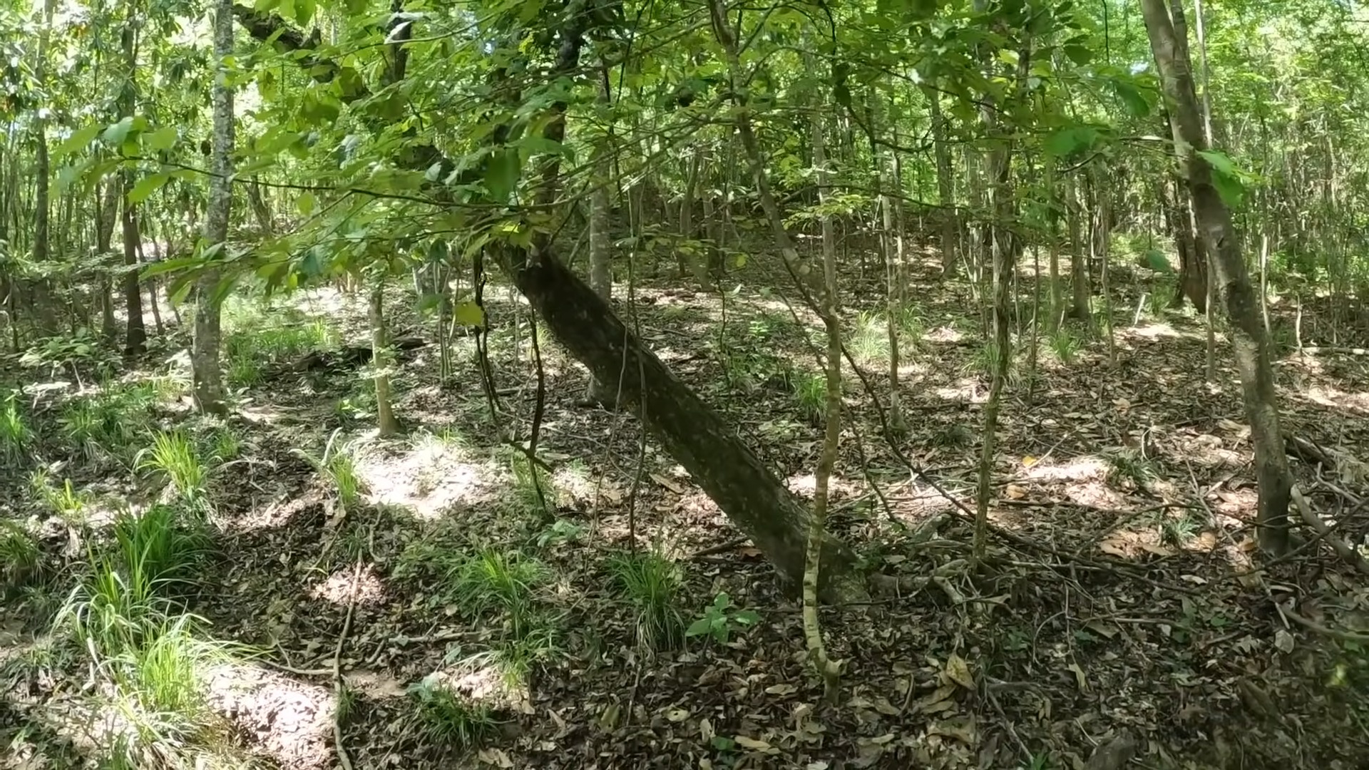 160 years after the battle, the ground was still hiding Civil War relics
