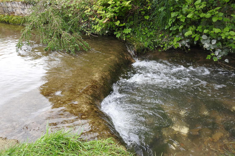 Lincolnshire Chalk Stream Project celebrates major milestone