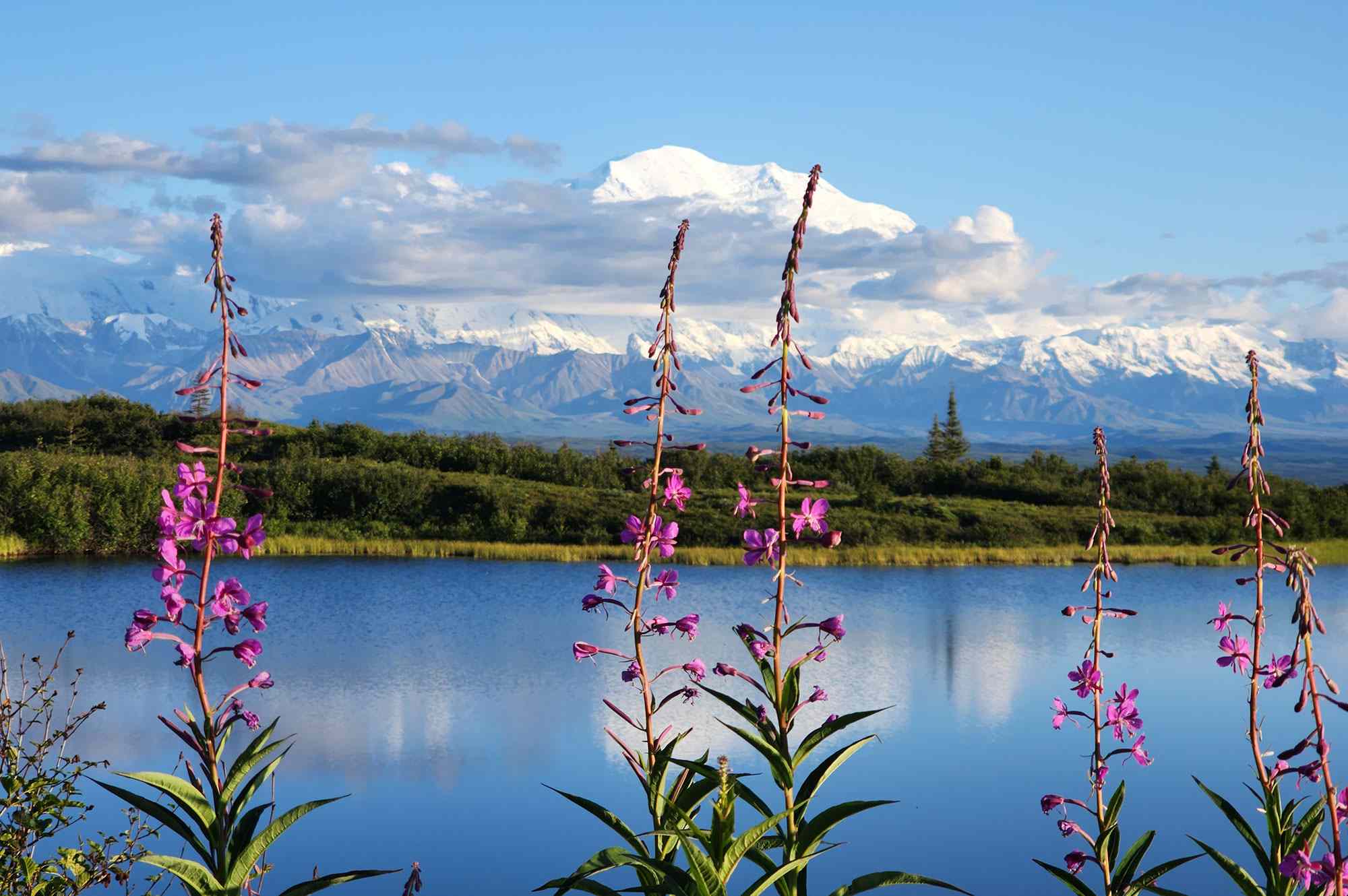 This is the last year to experience this iconic national park without ...