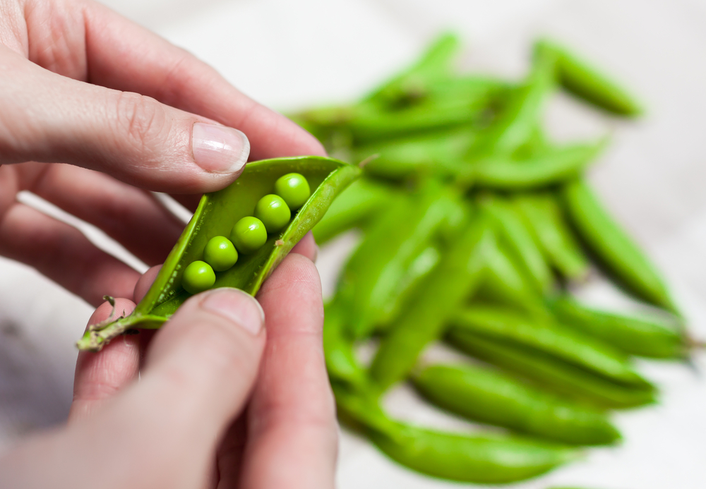 A handful of legumes could reduce the risk of high blood pressure by 30 ...