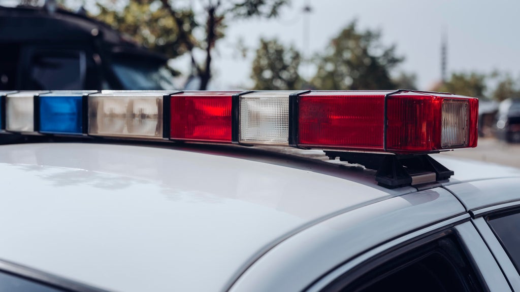 Small Georgia town reinstates officers days after the mayor dissolved ...