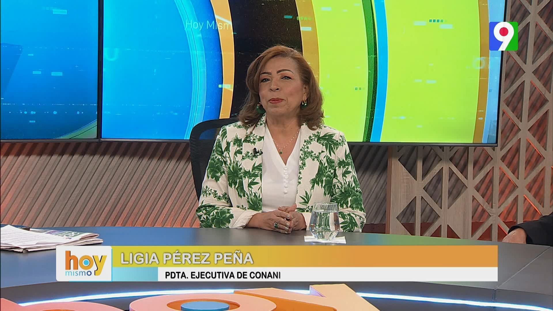 Ligia Pérez Peña "Debemos modificar la ley para mayor protección del ...