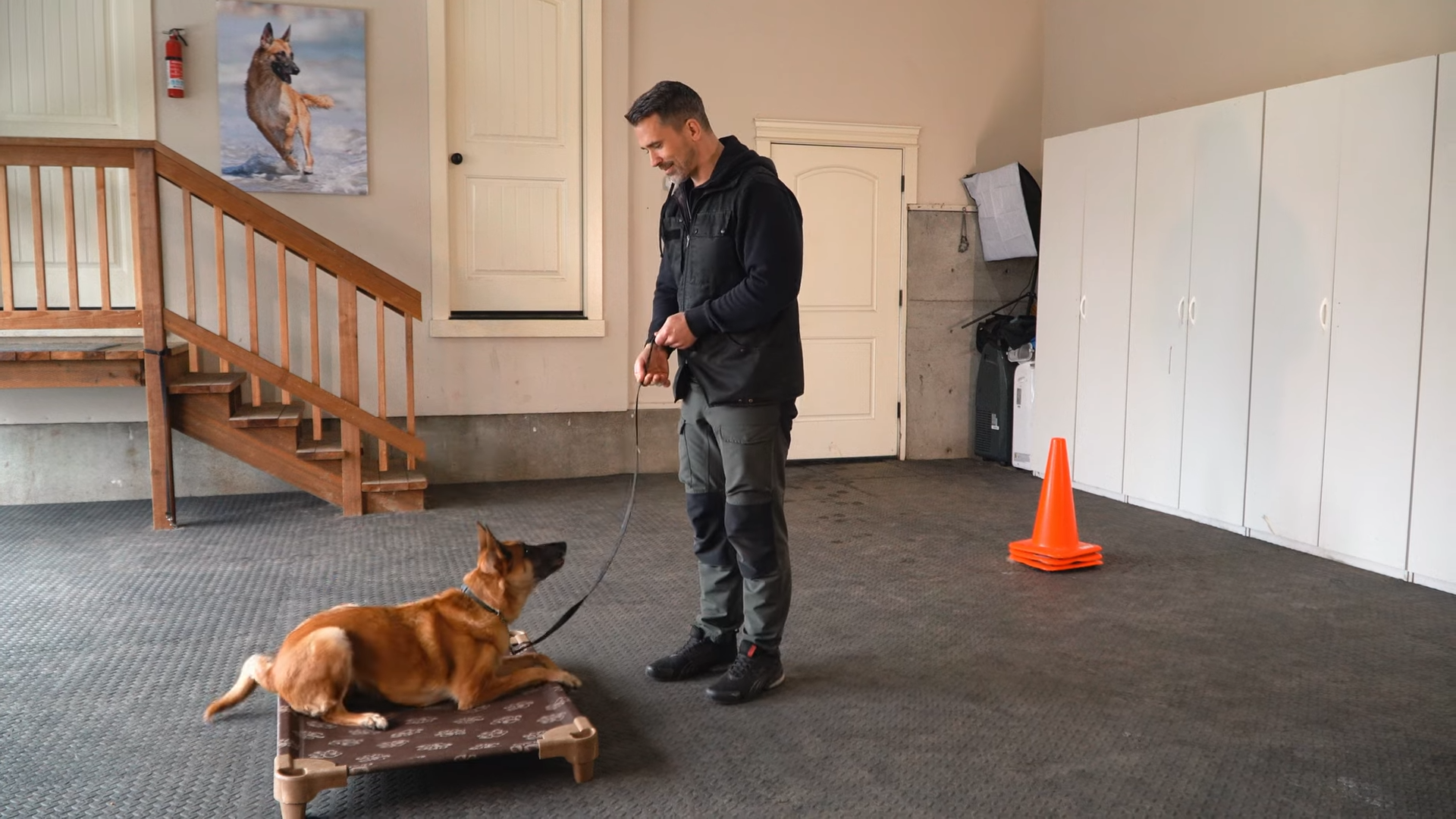This everyday trick can reinforce commands and calm problem behavior