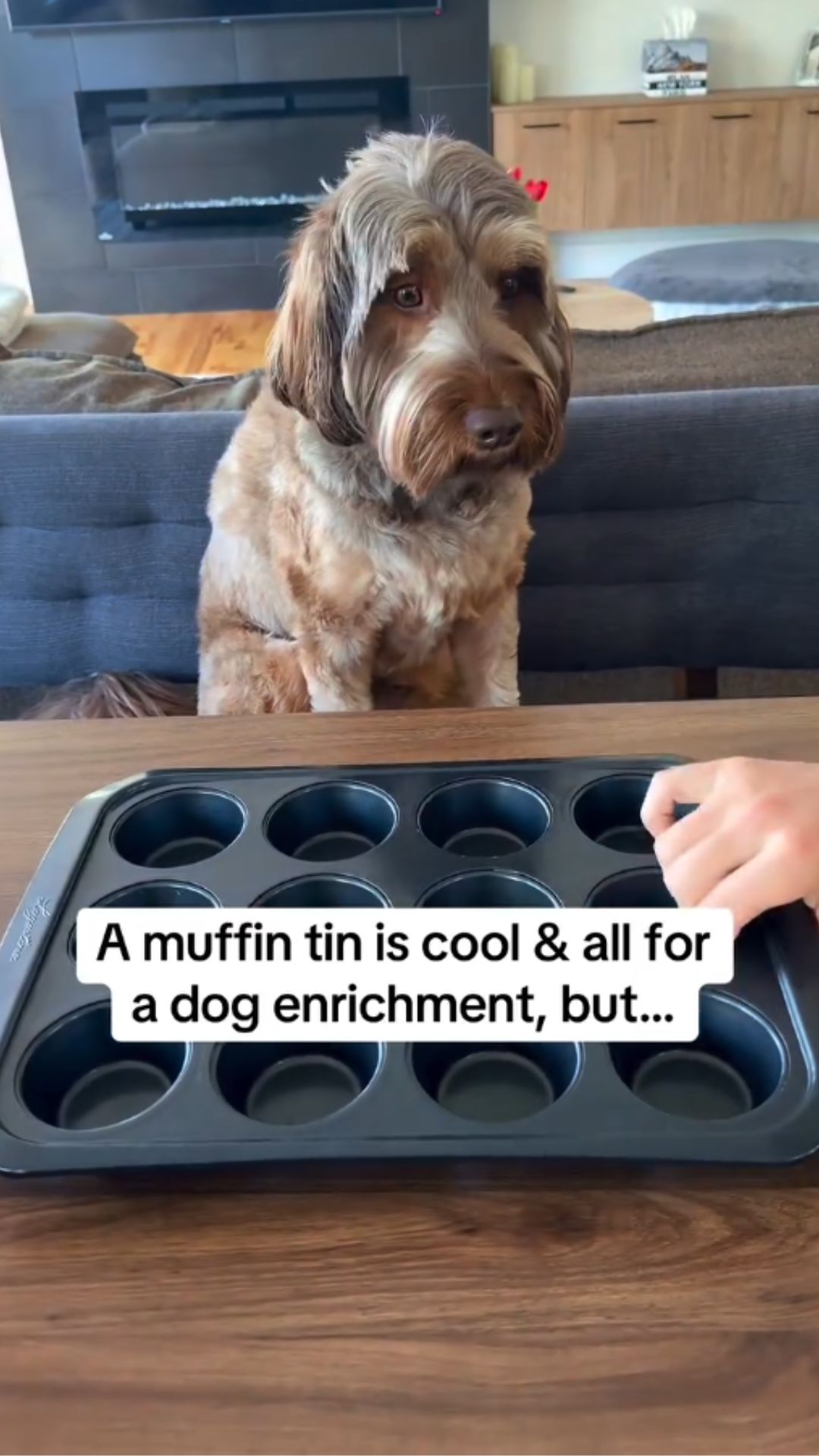 This muffin tin idea is perfect for curious dogs