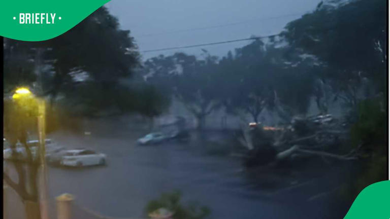 Cape Town storm: Wynberg hit by flooding, fallen trees and urgent ...