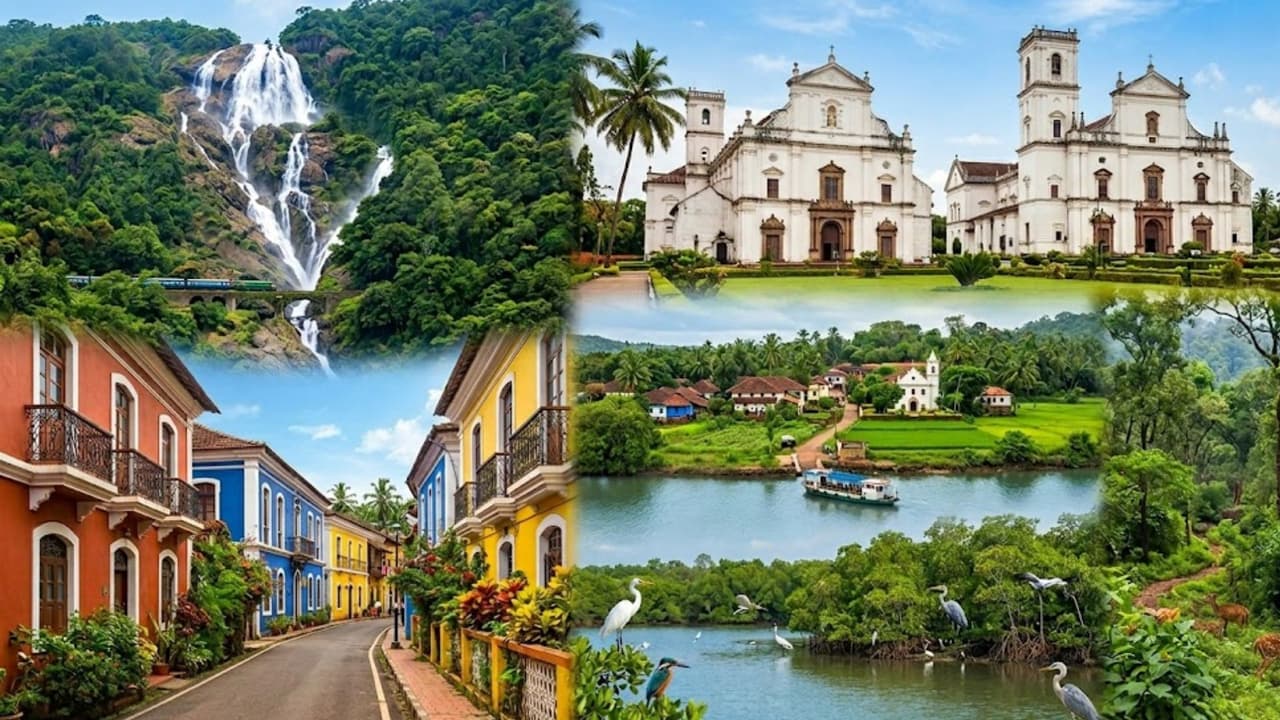 Heading to Goa? Don’t leave without trying these 5 iconic local dishes