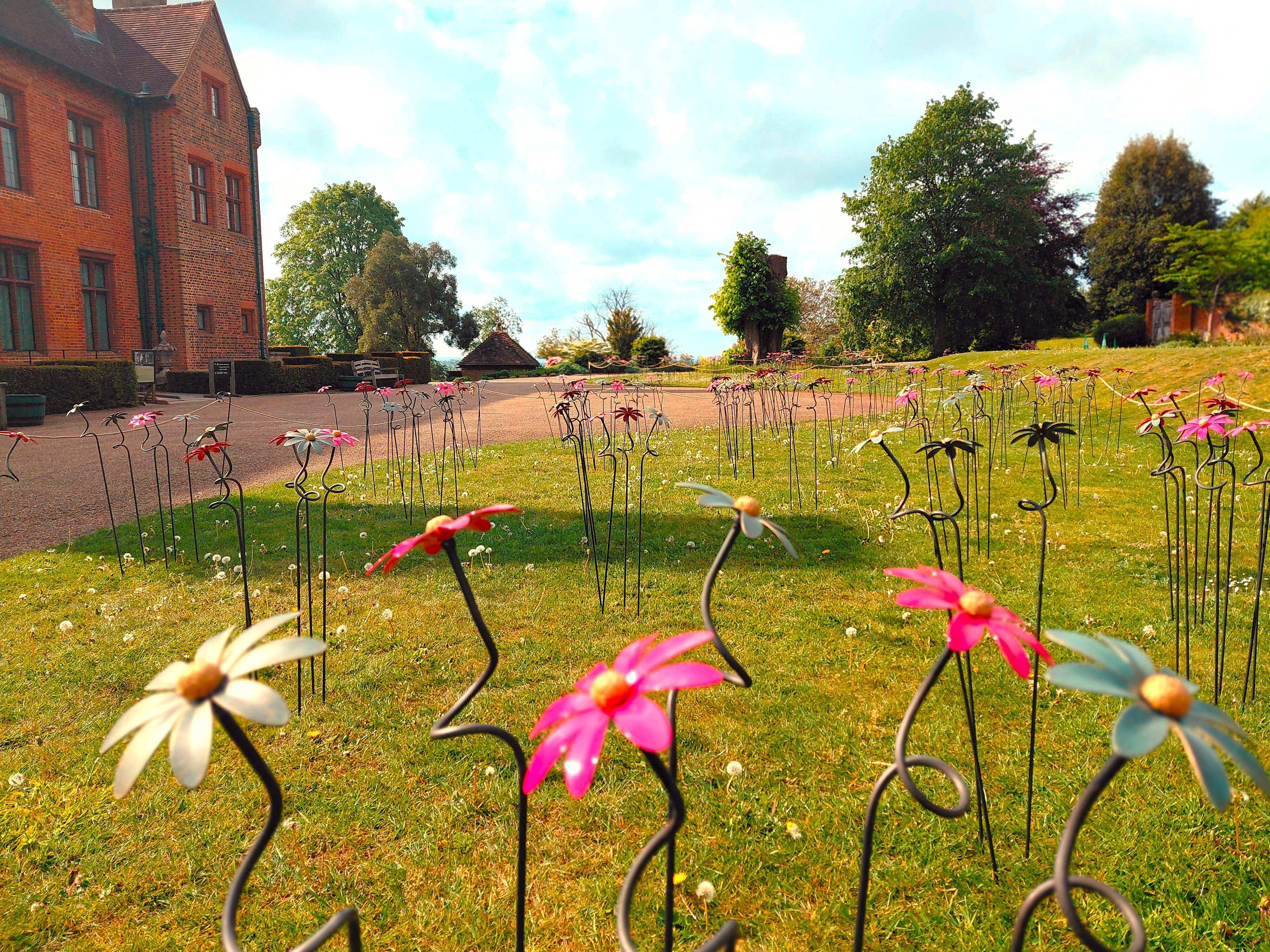 Labour of love: East Sussex artist creates 1,000 daisies for memorial ...