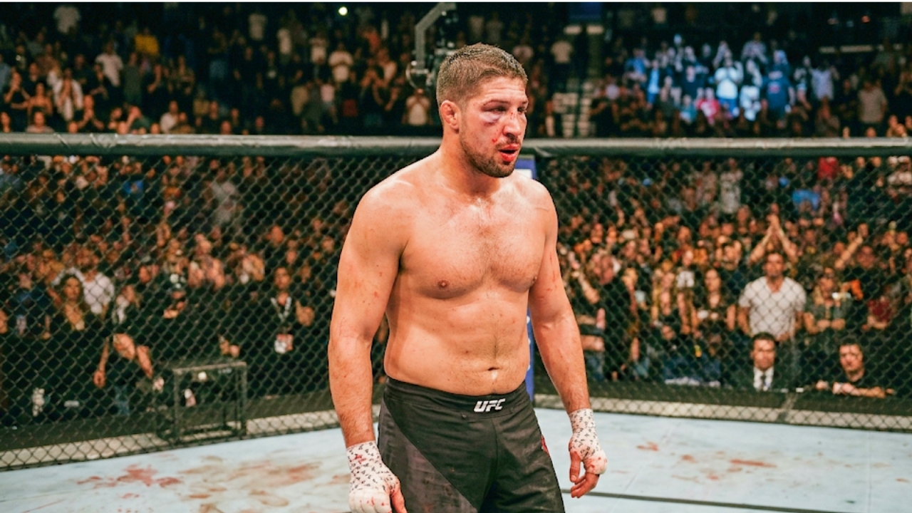 Dana White turned on Brendan Schaub after UFC 279