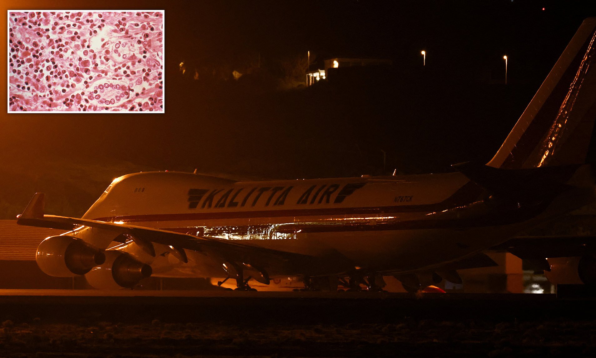 Jumbo jet with 17 Americans evacuated from rat virus cruise lands in ...