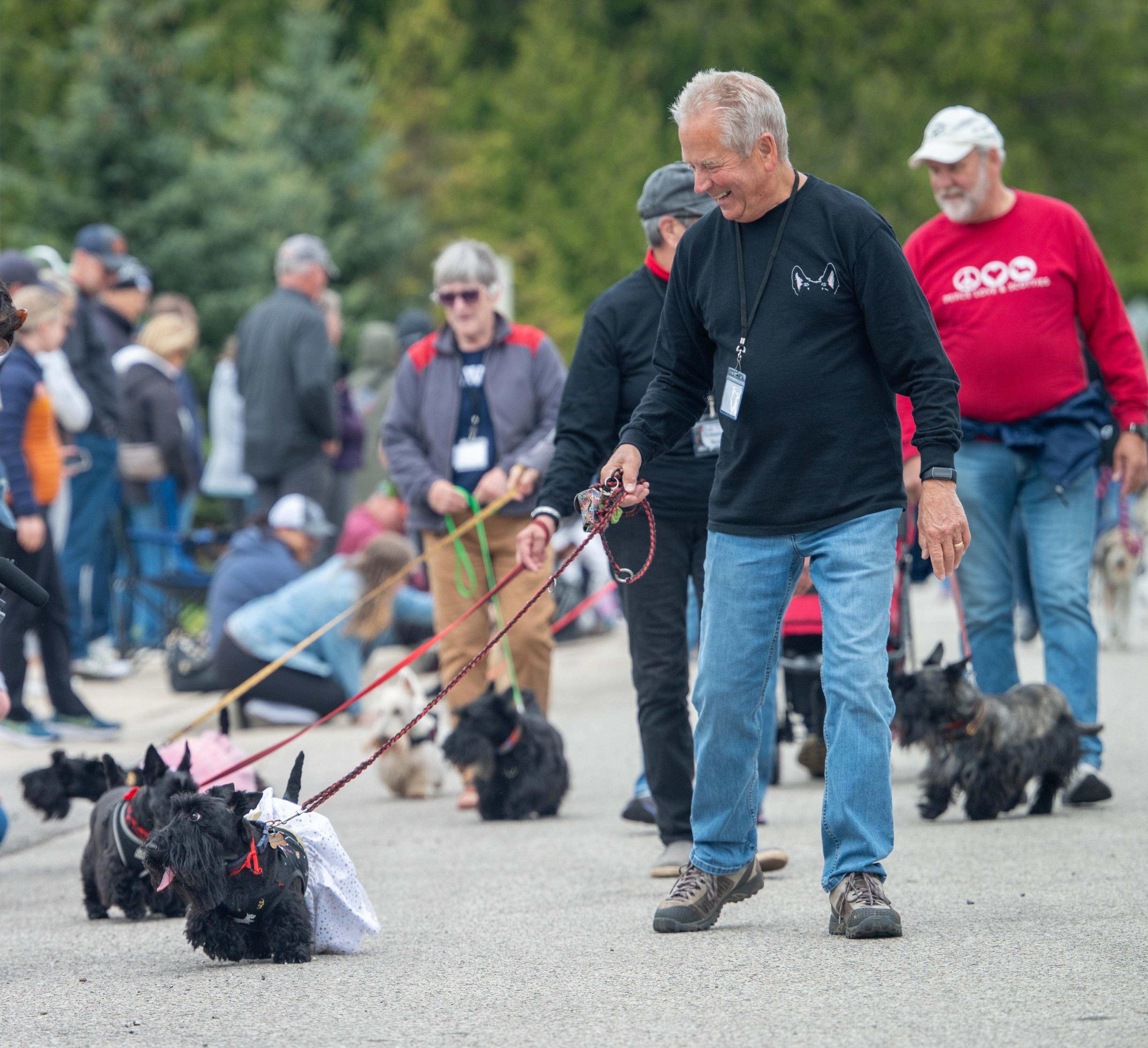 Scottish terriers come to Door County for annual Scottie rally