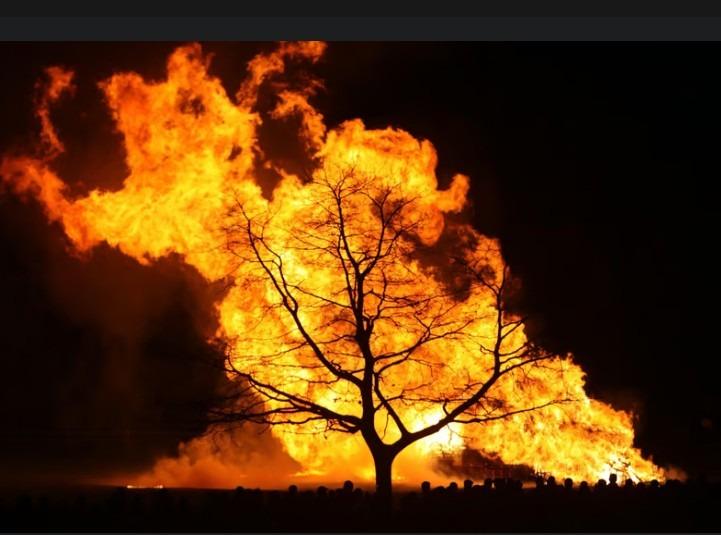 Explosive public reaction to Corby fireworks decision prompts Reform ...