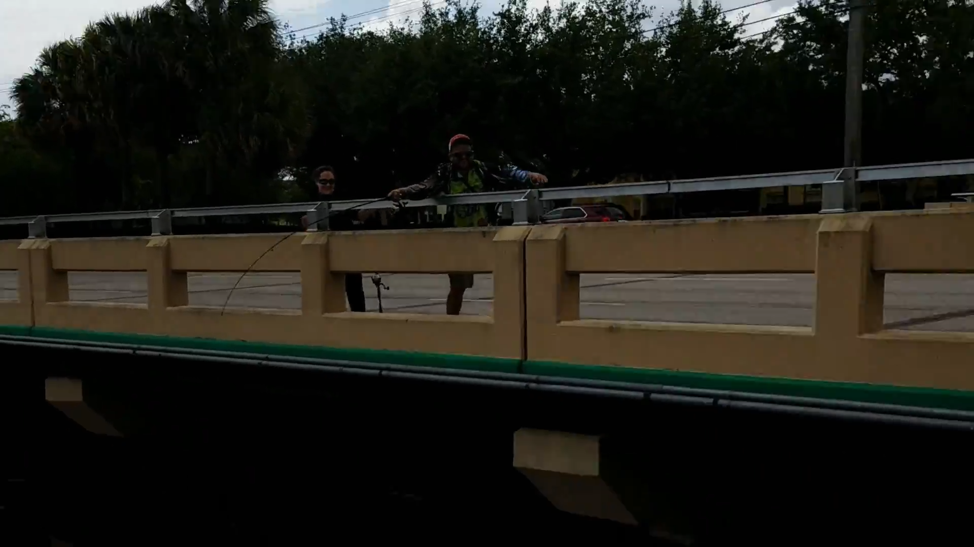Huge snakehead almost pulls him of the bridge