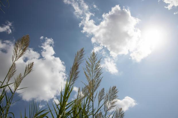 Met Office forecast for Bournemouth, Christchurch and Poole: Sunshine ...